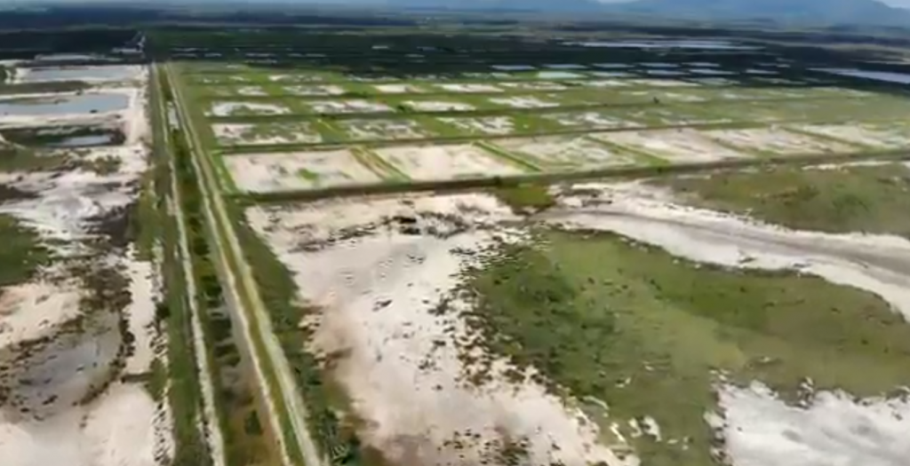 Tassal has big plans for Proserpine prawn farm | iQ Industry Queensland