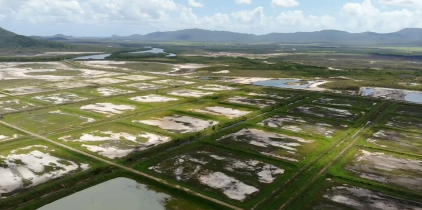 Major expansion planned for Proserpine prawn farms | iQ Industry Queensland