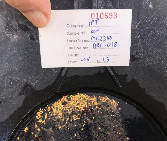 Blackridge gold project shows large-scale potential | iQ Industry ...