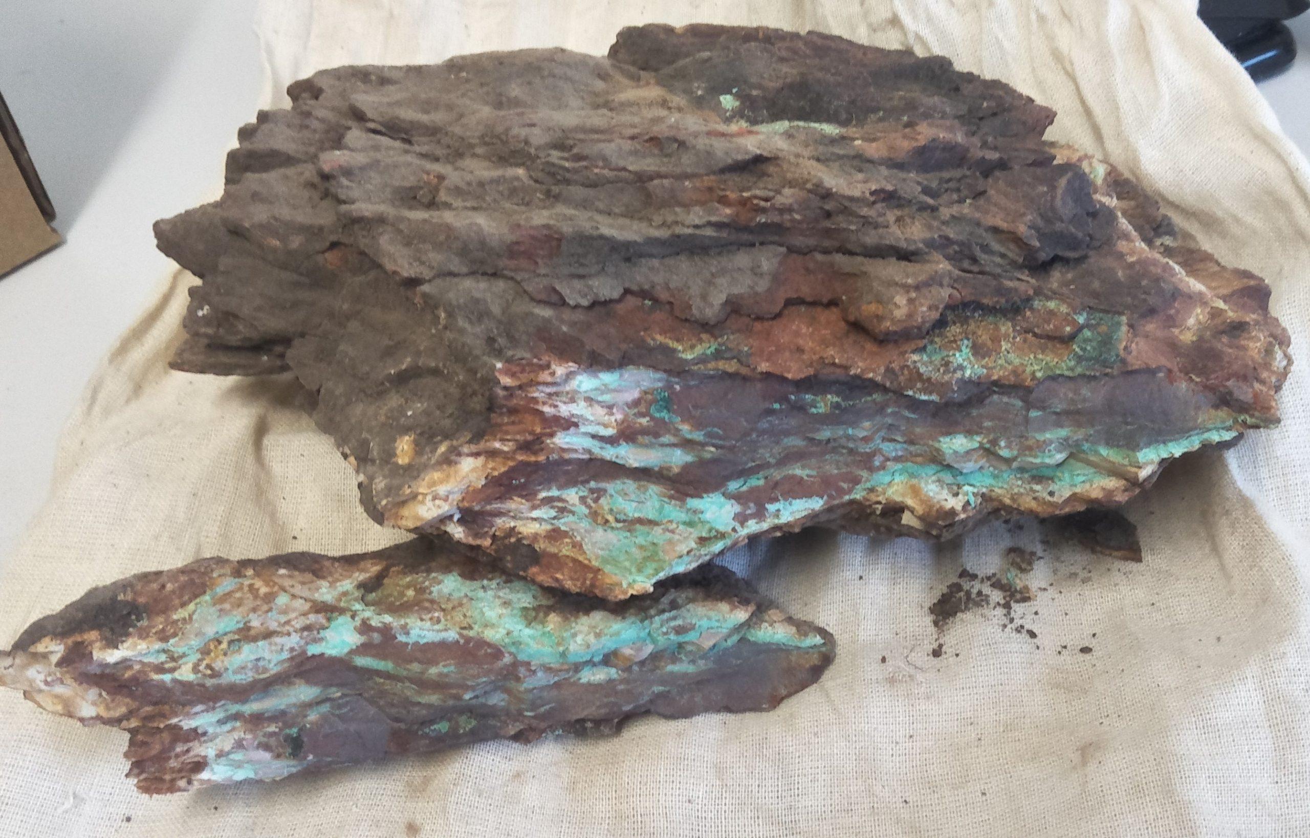 Zenith kicks off Snook drilling campaign | iQ Industry Queensland