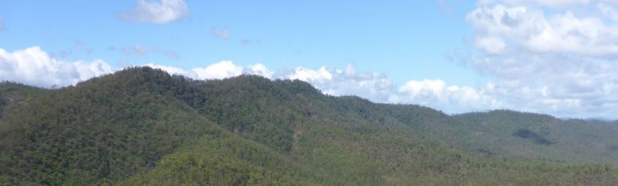 Studies continue for Ravenshoe wind farm | iQ Industry Queensland