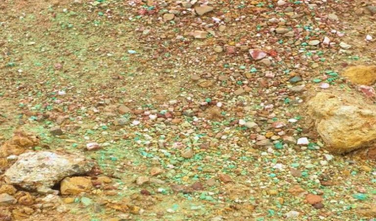 Early copper ore show at new Anthill mine | iQ Industry Queensland