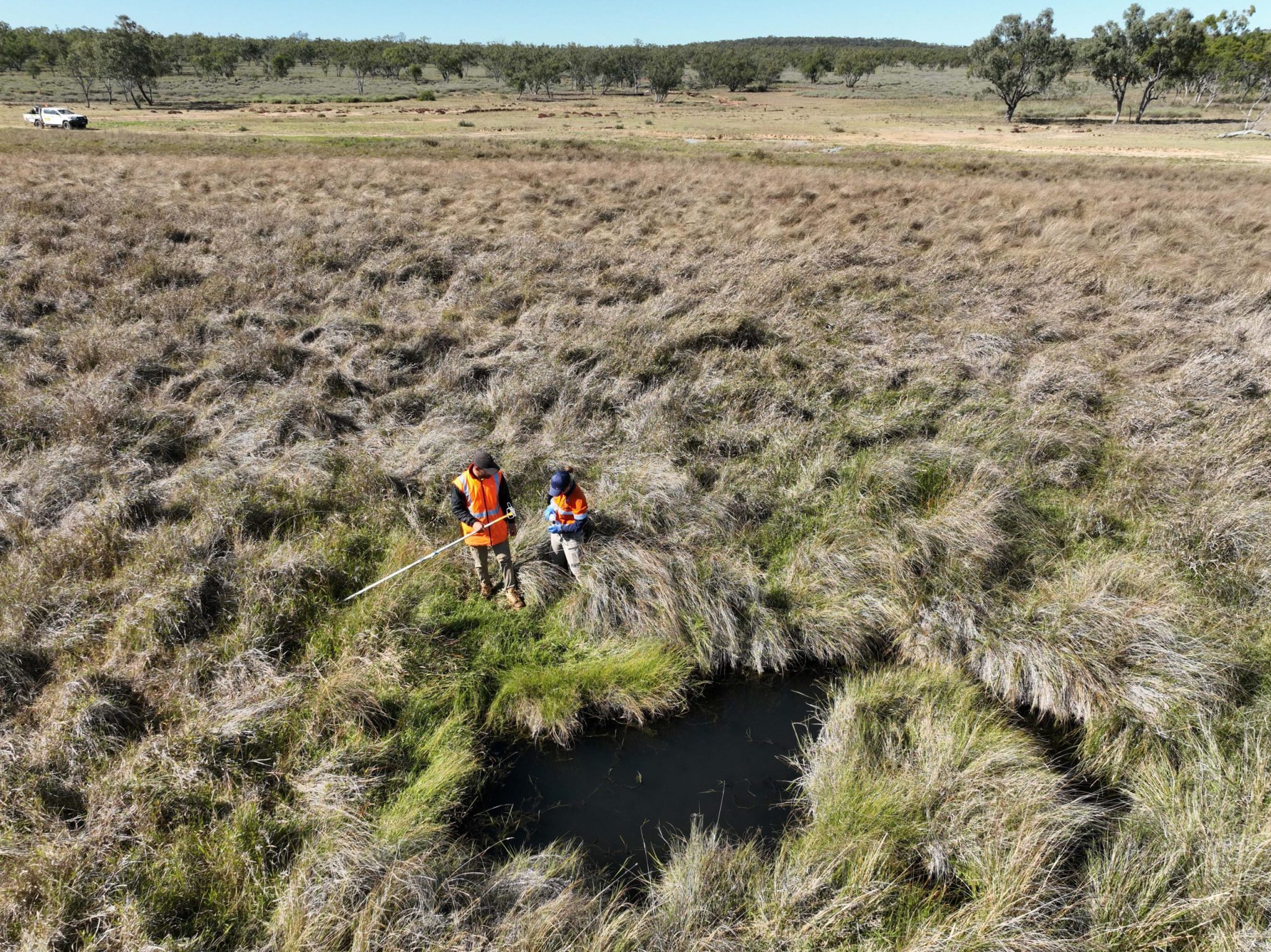 Carmichael studies show no harm for springs | iQ Industry Queensland