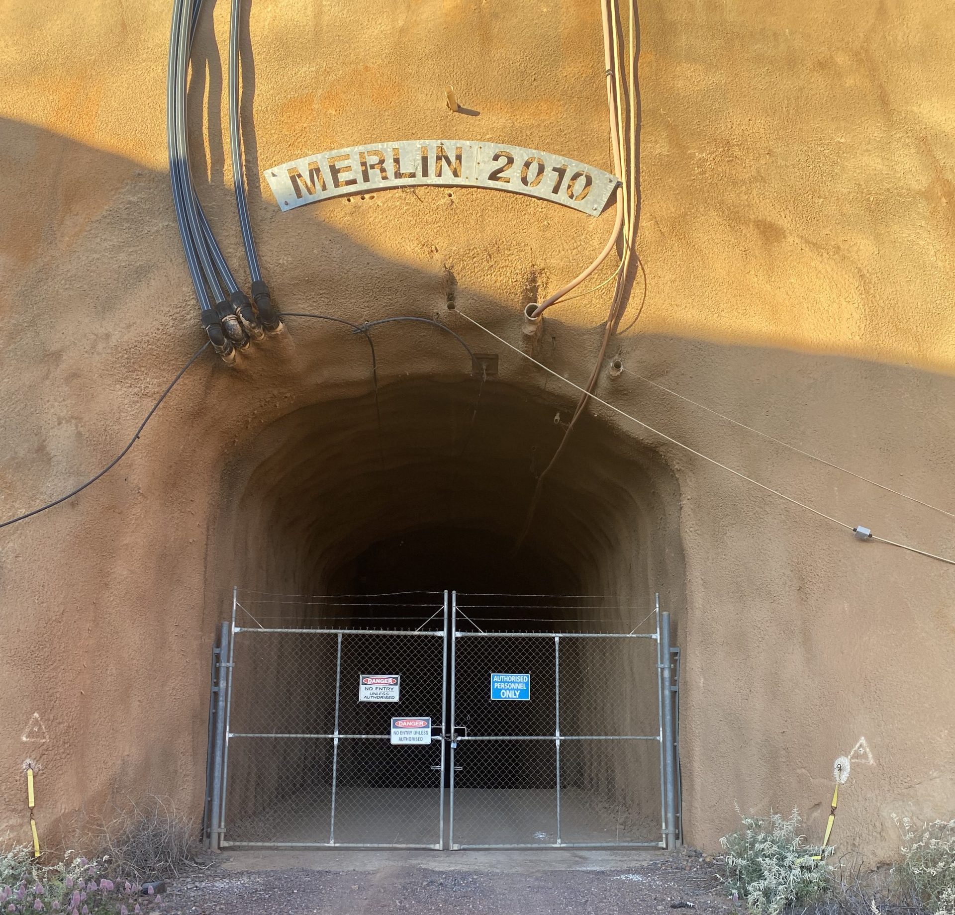 Chinova advancing Merlin project as Starra fades | iQ Industry Queensland