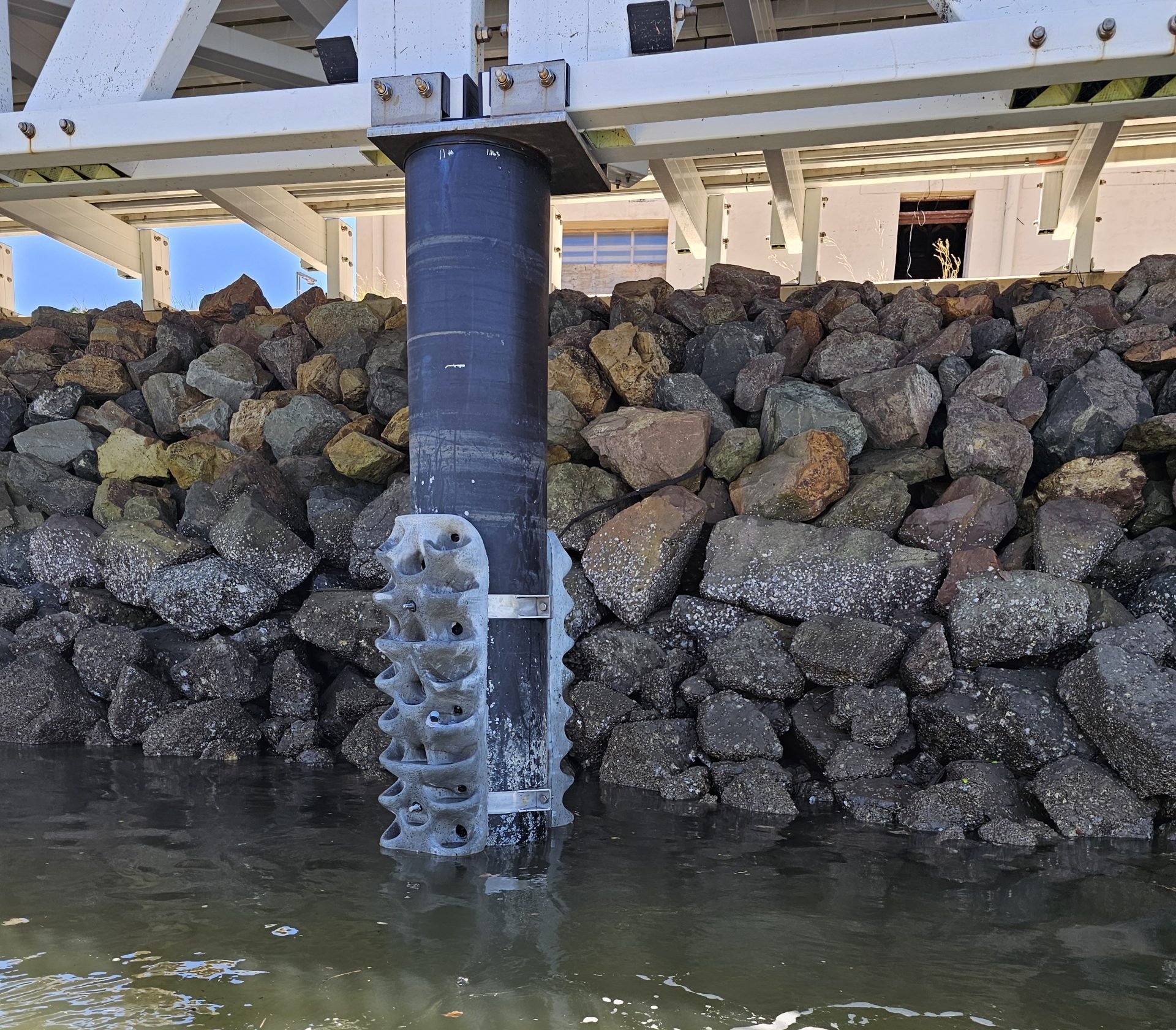 Pylon project aims for better environmental outcomes | iQ Industry ...