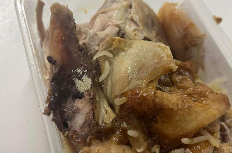 Maggot outrage as Kidston JV accused of failing workers | iQ Industry ...