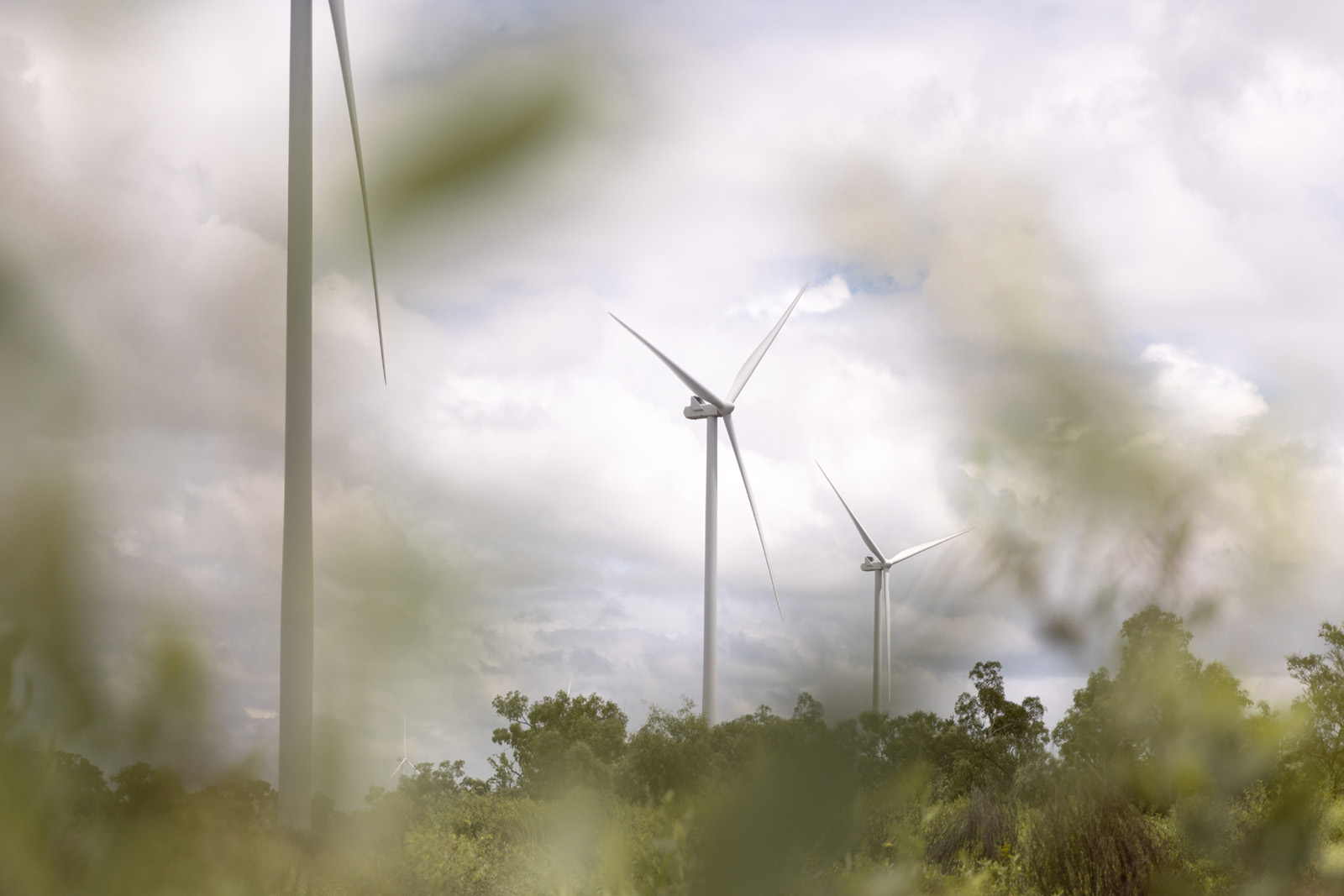 CleanCo signs up for Kennedy wind energy | iQ Industry Queensland